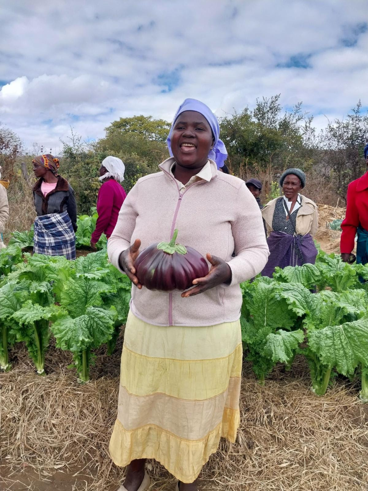 Magnificent Crops Curb Hunger in Zimbabwe! | Healing Hands International