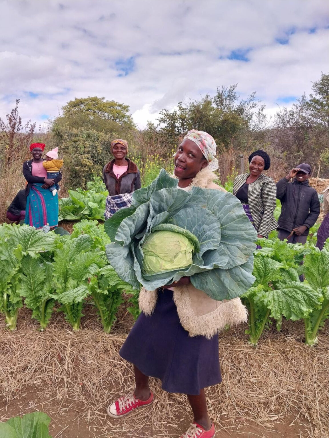 Magnificent Crops Curb Hunger in Zimbabwe! | Healing Hands International
