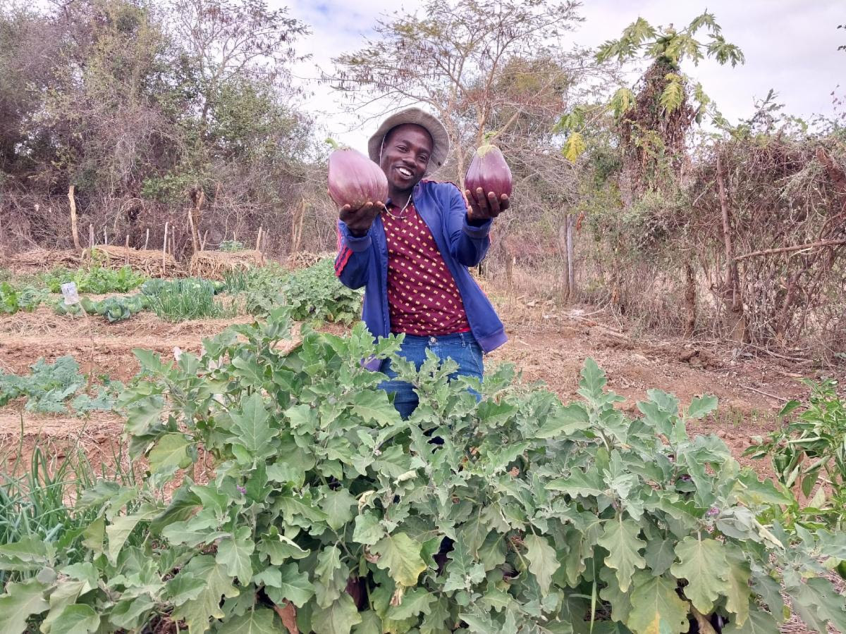 Magnificent Crops Curb Hunger in Zimbabwe! | Healing Hands International